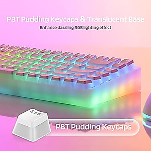 LTC Neon75 Wireless 75% Triple Mode BT5.0/2.4G/USB-C Hot Swappable Mechanical Keyboard, 84 Keys Bluetooth RGB Compact Gaming Keyboard with Software, PBT Pudding Keycaps