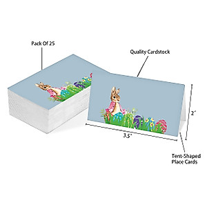 Table Place Card, Easter Tent Style Cards, Pack of 25 Half-Fold Reception Place Card, Cute Easter Egg Bunny, Easter Table Decor for Spring Wedding, Baby Shower, Dinner Party(F24)