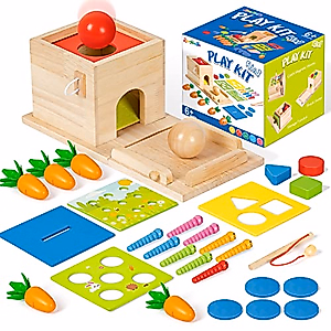 5-in-1 Wooden Play Kit Montessori Toy - Object Permanence Box, Coin Box, Carrot Harvest, Catch Worm, Shape Sorter - Toddler Learning Toy for Kid Age 1, 2, 3 Year Old, Girl boy Gift for Baby 6-12 Month
