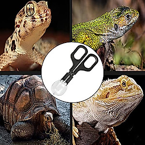 SWENSENLin 3 Pieces Reptile Feeding Clip Tongs Reptile Feeding Scooper Clamp Lizard Beetle Insect Catch Clamp for Tortoise Lizard Frog Spider Tarantulas