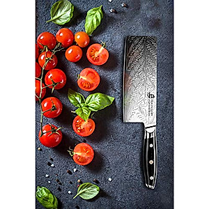 TUO Vegetable Meat Cleaver Knife - Chinese Chef's Knife 7-inch High Carbon Stainless Steel  - Kitchen Knife with G10 Full Tang handle - Black Hawk-S Knives Including Gift Box