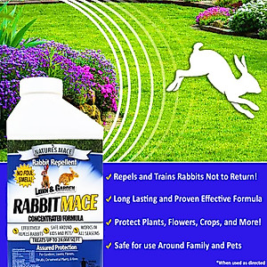Nature’s MACE Rabbit Repellent 40oz Concentrate/Covers 28,000 Sq. Ft. / Rabbit Repellent and Deterrent/Keep Rabbits Out of Your Lawn and Garden/Safe to use Around Children & Plants