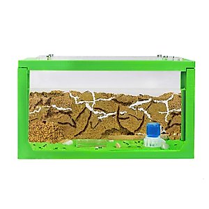 AntHouse - Natural Sand Ant Farm | 3D Green Starter Kit 7.87 x 3.94 x 3.94 in