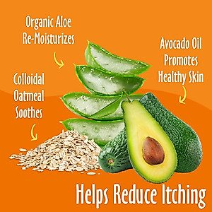 earthbath, Oatmeal & Aloe Grooming Wipes - Dog Wipes for Paws and Butt, Best Pet Wipes for Dogs & Cats, Helps Relieve Itchy & Dry Skin, Made in USA, Cruelty-Free - Vanilla & Almond 30 Count (1 Pack)