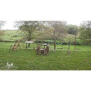 Coops & Feathers Chicken Activity Center-Play, Swing, & Roost-Includes Treat Basket (Small)