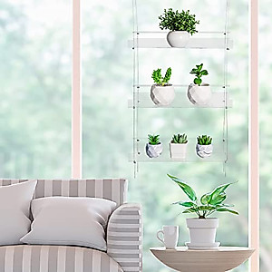 Clear Hanging Window Plant Shelves,Indoor Windows Wall Hanging Plant Stand Flower Display,Flower Pot Organizer Storage for Window Grow Herbs,Microgreens,Succulents,Flower (3 Layer)