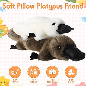 HyDren 2 Pcs Duckbill Stuffed Animal 12 Inch Duckbill Soft Plush Pillow Duckbill Toy Stuffed Duckbill for Kids