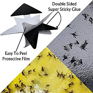 Super Nova & Co. 30pk Sticky Fruit Fly Traps Star-Shaped Indoor Plants Outdoor Garden Double-Sided Adhesive Flying Gnat Insect Pest Management Catcher Non Toxic Odorless Waterproof UV-Resistant 3x5”