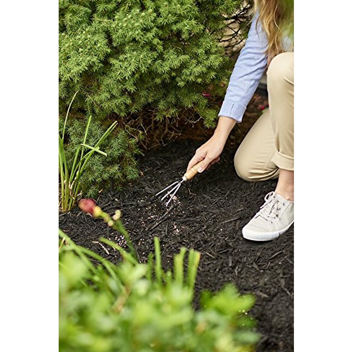 Scotts Evergreen Flowering Tree & Shrub Continuous Release Plant Food 3-Pound