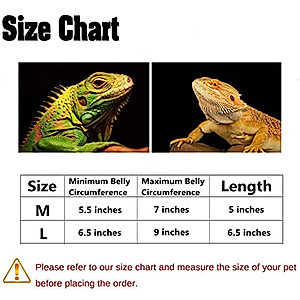 Lizard Dress for Bearded Dragon - Handmade Cotton Tutu Skirt with Lace Princess Sundress Halloween Costume Photo Cosplay Party for Reptile Lizard Bearded Dragon Crested Gecko Chameleon (M, Pink)