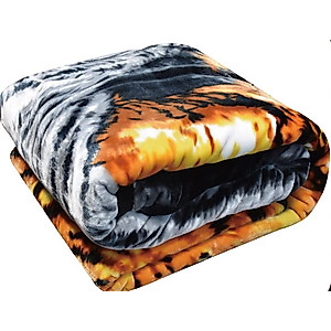 Tiger Blanket Mink Blanket Korean Blanket Heavy Blankets Queen Size Tiger Throw Blanket Korean Mink Blanket Tiger Statue Animal Blanket Bed Warm Blanket Full Queen Animal Blankets Mexican Blanket