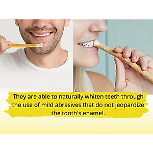 Organic Herbs Traditional Natural Miswak (sewak) Peelu Chewing Stick Toothbrush for Whiter Teeth -10 Pc