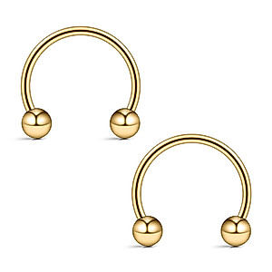Ruifan 316L Surgical Steel CBR Horseshoe Circular Rings Nose Eyebrow Tragus Lip Ear Hoop Ring Piercing 20G 10MM 12PCS (Mix Color)