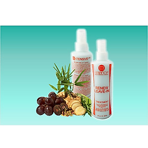 B Balance Professional Studio Renew Leave in Treatment 9oz