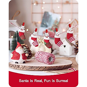 Mini Clothespins Christmas Clothes Pins for Photo Red Clothespins White Snowflake Wooden Clips Small Close Pins for Picture Polaroid Craft Display Hanging Wall Card Holder, 50 PCS with 33 FT String