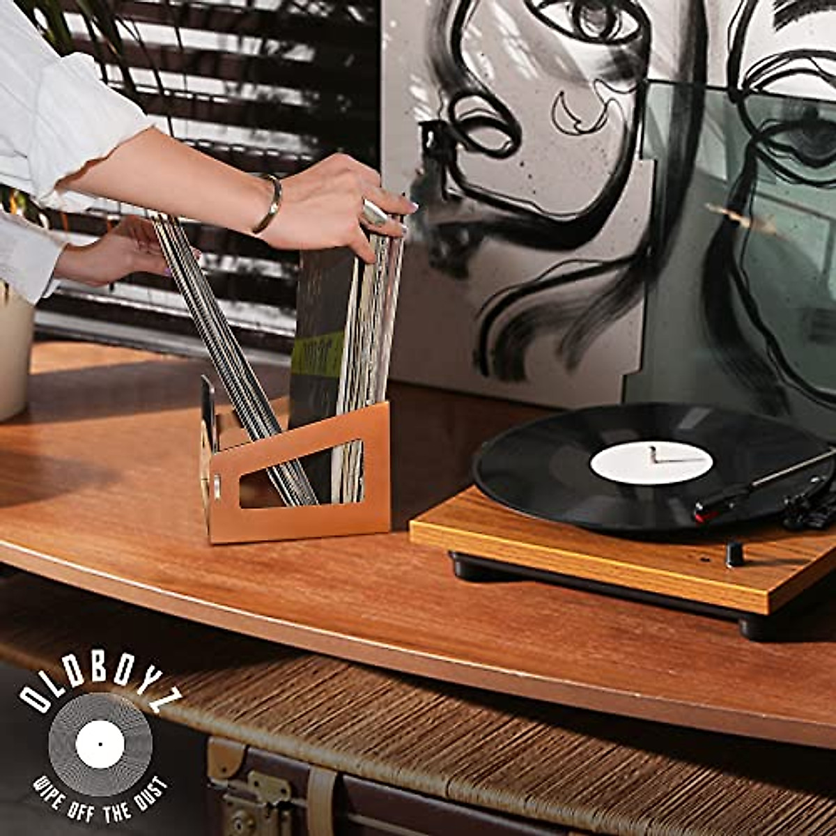 OLDBOYZ Vinyl Record Holder - Tabletop or Wall Mount Vinyl Record Storage Display Shelf- Fits Up to 40 12”LP Albums - Copper
