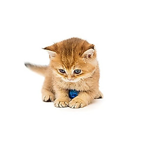 Hulless 20 Pcs 2 Inch Cat Sparkle Balls Toy Interactive Balls for Kittens Exercise and Cats Play and Chase