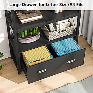 LITTLE TREE Freestanding Lateral File Cabinet with Drawer, Filiing Cabients with Shelves, Black