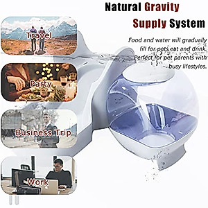 2 Pack Automatic Cat Feeders- Dog Water Bowl Dispenser and Dog Food Bowls Set Dog Feeding & Watering Supplies for Small Medium Big Pets Cat Bowls for Food and Water 1 Gallon