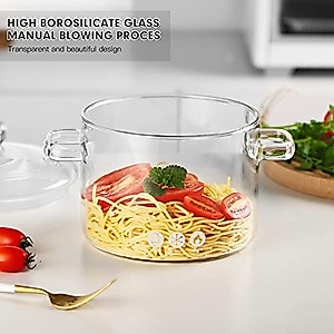 Glass Cooking Saucepan Stovetop Safe - ZDZDZ 1800ML/60Oz Microwave Glass Cooking Pot, Simmer Pot with Cover and Handle, Safe to Heat Pasta Noodle, Soup, Milk, Baby Food