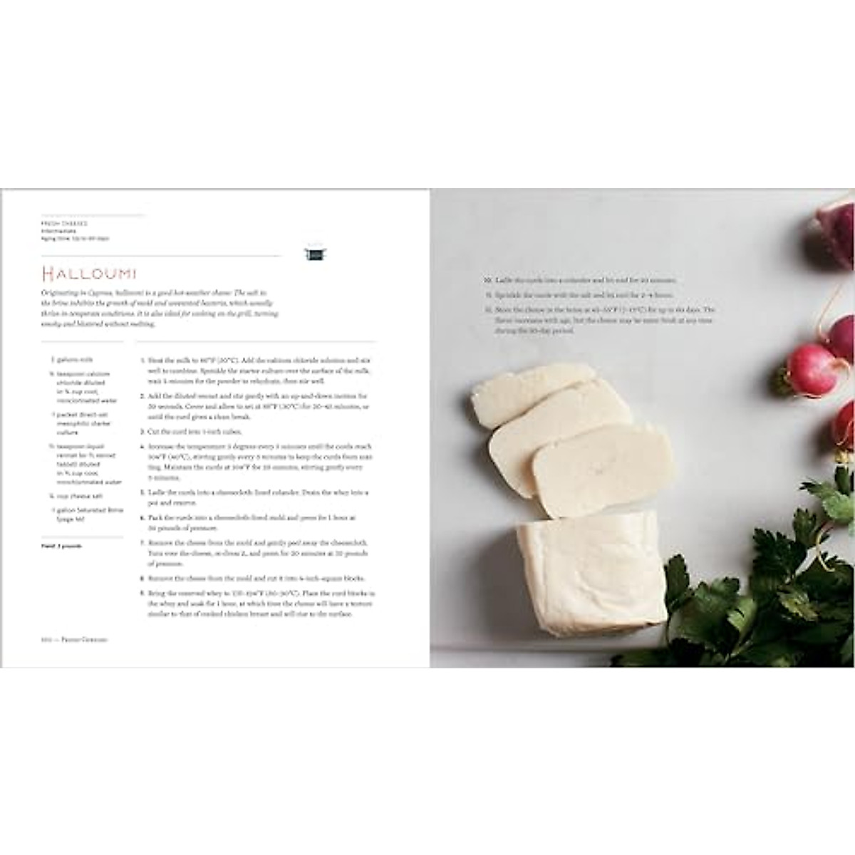 Home Cheese Making, 4th Edition: From Fresh and Soft to Firm, Blue, Goat’s Milk, and More; Recipes for 100 Favorite Cheeses