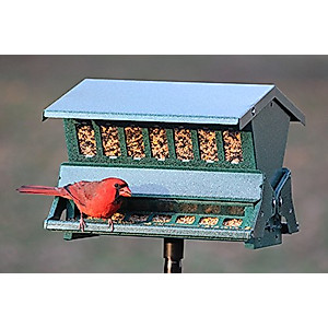 H-F Green Absolute II Two Sided Feeder With Windows