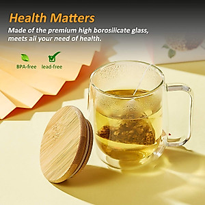 Teaovo 250ml/8.5oz Glass Coffee & Tea Cup Mug with Wooden Lid, Double Wall Borosilicate Glass Latte Espresso Mug with Insulated Handle, Dishwasher Safe, 2 Piece Set (C6502)