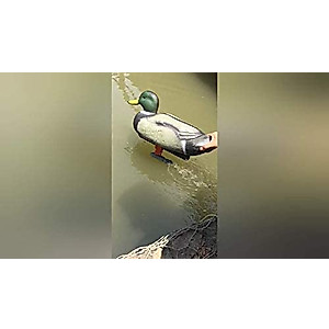 GUGULUZA Duck Decoy Motor w/Clip for Drive Waterfowl Decoys, Universal Decoys Motors for Hunting