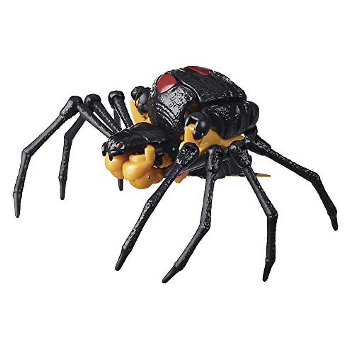 Transformers Toys Generations War for Cybertron: Kingdom Deluxe WFC-K5 Blackarachnia Action Figure - Kids Ages 8 and Up, 5.5-inch