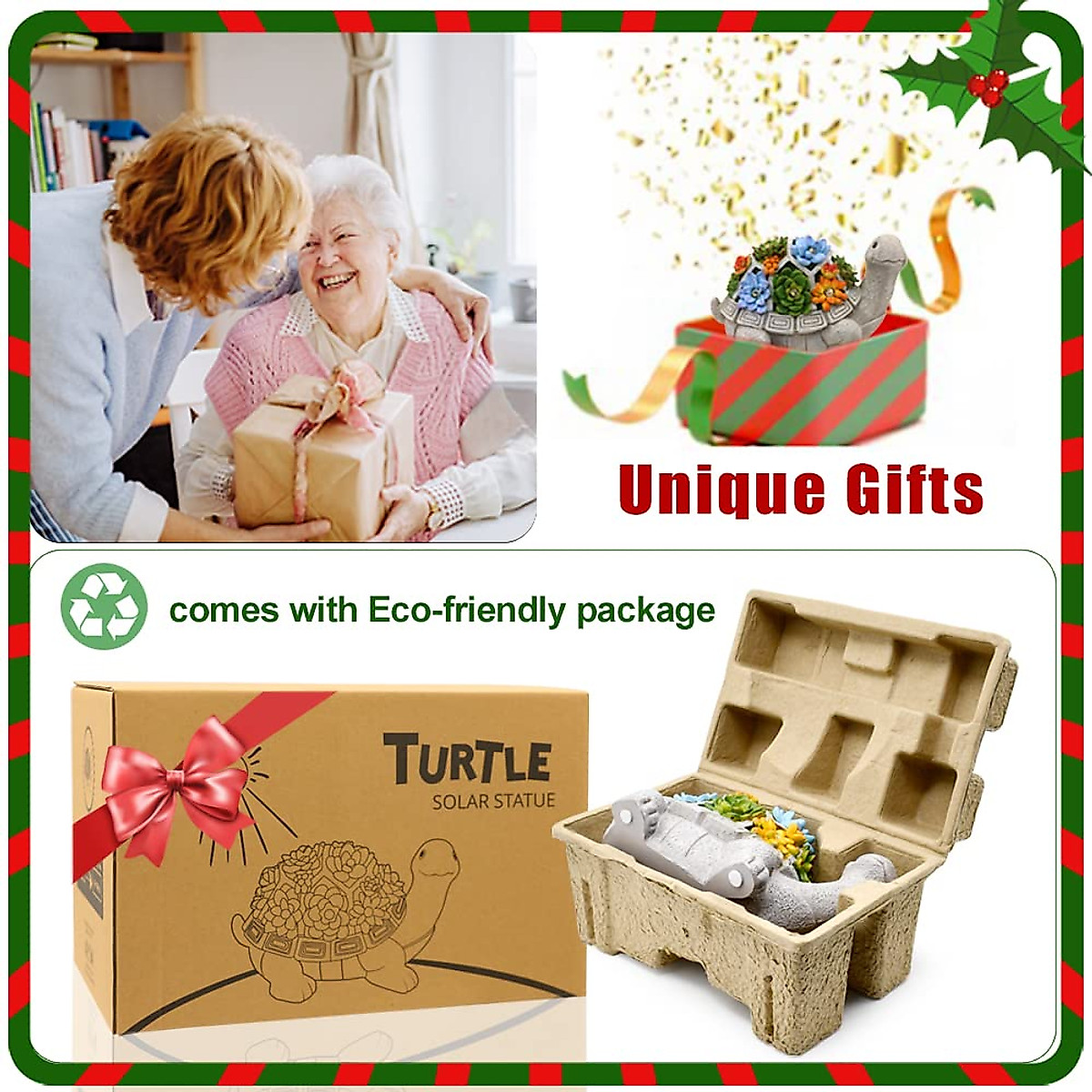 A Bundle of Turtle and Frog Riding Turtle