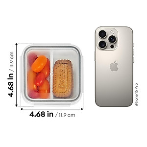 carrotez 2 Compartment Snack Containers, Portion Control Container, Small Food Storage Containers, Small Snack containers with Airtight lids, BPA Free, Stackable, Reusable, 2 PACK