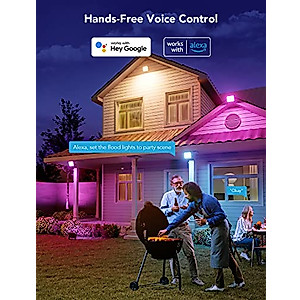Govee Outdoor Lights, Flood Lights Uplight 2 in 1, LED Landscape Lighting, Low Voltage Landscape Lights, IP65 Pathway Lights with App Control, 35 Scene Modes, Patio Lights, Garden Yards, Wired 2 Pack