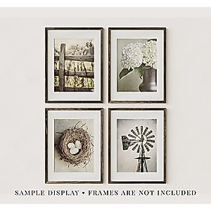 Lisa Russo Fine Art - Farmhouse Wall Decor Set of 4 SMALL 5x7" Unframed Prints, Beige Brown Neutral Country Rustic Artwork, Farm Pictures for Kitchen, Living Room or Bathroom Decor