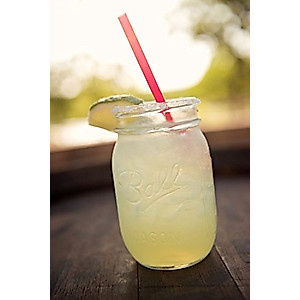 Lush Wine Mix - Organic Mix for Wine Slushie & Simple Syrup Cocktails (Margarita, 1-Pack)