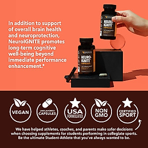 NeuroIgnite Brain Supplements for Memory and Focus Support with St Johns Wort & Ginkgo Biloba | Nootropics Brain Support Supplement | Cognitive & Memory Supplement for Brain Health | 1 Month Supply