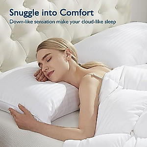 Dafinner Pillow (King)