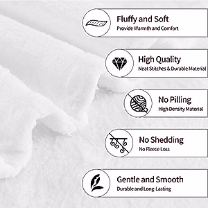 NARBOR Soft Fleece Throw Blanket - Fluffy Microfiber Solid Blankets for Bed and Couch Double/Single Size - 59X79Inch Arched Wooden Door Printed Flannel Blanket for Bed, Couch and Sofa