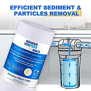GOLDEN ICEPURE 5 Micron 4.5" x 10" Whole House Sediment Water Filter Compatible for GE GXWH30C GXWH35F, Plumber W10-PR, Culligan RFC-BBSA, W15-PR, Culligan HD-950, WFHD13001B 2PACK