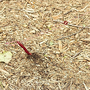 MSR Tent Guyline Kit, 8-Foot