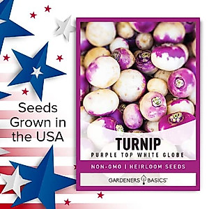 Turnip Seeds for Planting (Purple White Top Globe) Heirloom, Non-GMO Vegetable Variety- 1 Gram Seeds Great for Summer, Fall and Winter Gardens by Gardeners Basics