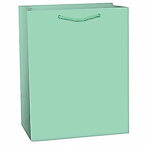 Amscan Glossy Paper Bag, Medium-1 pc, Cool Mint