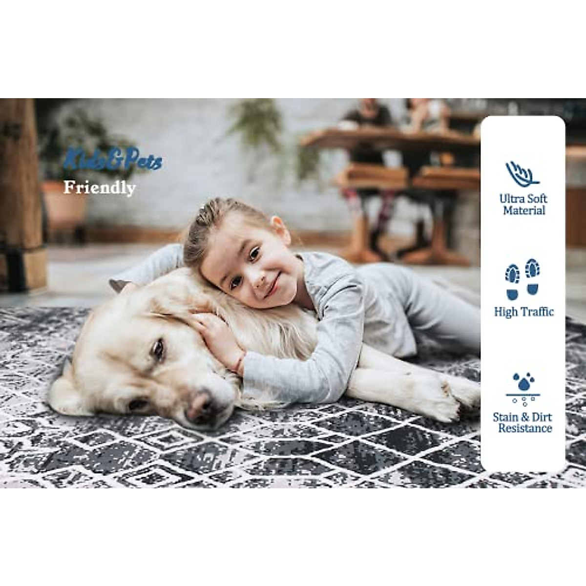 Leesentec Rugs Modern Non-Slip Soft Area Rugs for Living Room/Bedroom/Dining Room Carpet Floor Mat Home Decorative (Black/Grey, 2'7"×3'11")