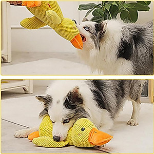 kunishi Calming Duck Dog Toy, Quacker Calming Duck Toy, Emotional Support Duck for Dogs, The Mellow Dog Calming Duck, Yellow Stuffed Duck Dog Chew Toys with Calming Ball (Yellow, Small)