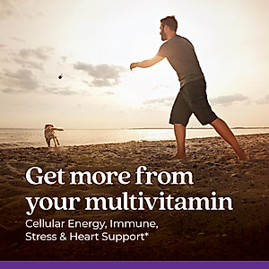 New Chapter Men's Multivitamin for Immune, Stress, Heart + Energy Support with Fermented Nutrients - Every Man's One Daily, Made with Organic Vegetables & Herbs, Non-GMO, Gluten Free - 96 ct