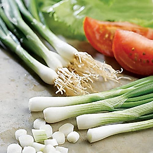 CHUXAY GARDEN 1200 Seeds White Lisbon Salad Onion, Spring Onions,Bunching Onions Sweet Mild Flavor Vegetable Can Make Delicious Food Great for Houseplant
