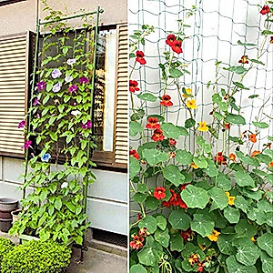 Zivisk 2Pcs Cucumber Tomato Trellis Netting, Heavy Duty Garden Netting for Climbing Plants Support, Pea, Grape, Bean, Fruit, Vegetables - 4" Mesh Size, 3Ft x 6Ft