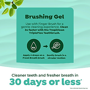 TropiClean Fresh Breath Dog Oral Care Kit | Complete Dog Toothbrush and Toothpaste Set for Plaque & Tartar Control | Dog Tooth Brushing Kit for Large Dogs