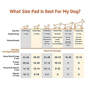 Amazon Basics Odor-Control Carbon Dog and Puppy Training Pads, Leakproof 5-Layer Pee Pads for Potty Training, XL, 28 x 34 Inches, Pack of 50, Gray