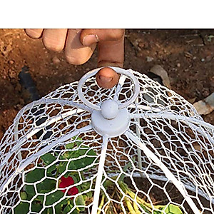 HEIDI & OLAV 3 Pack 20" & 3 Pack 14" Chicken Wire Cloche for Plants Squirrel Proof Metal Plant Cover Cage Garden Animal Protection Metal Plant Cage Protector Dome Rabbit Bunny Guard