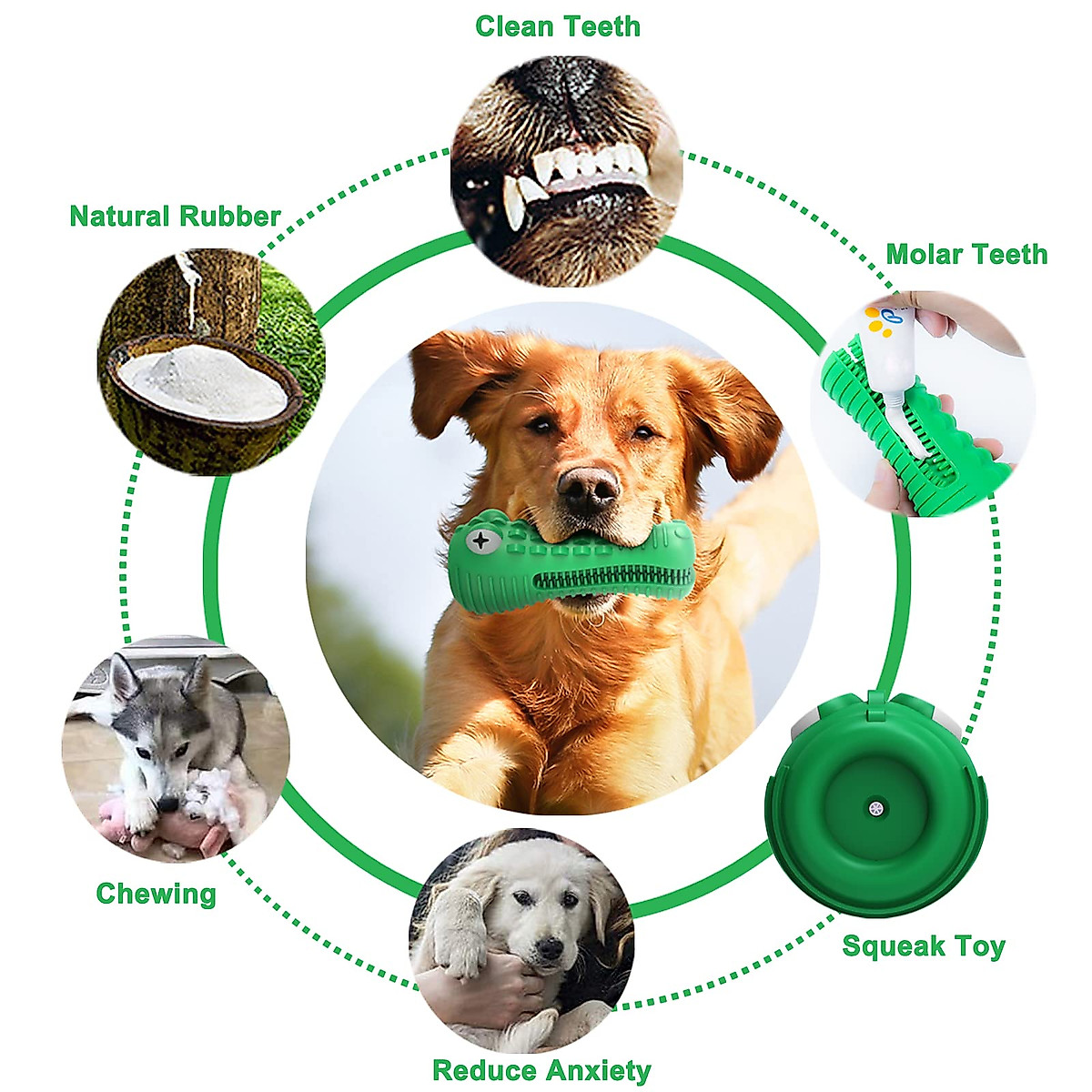 Hkrhsy Dog Toys for Aggressive Chewers, Toothbrush for Old or Young Pet, Dog Chew Toys Made with Toughest Natural Rubber,Durable Squeaky Dog Toys